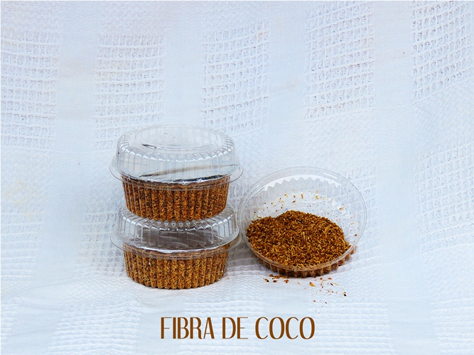 Ñan Glu... Coco – Puerto Asís – Encuéntralo en Putumayo