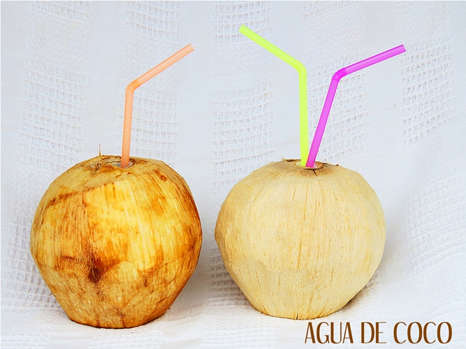 Ñan Glu... Coco – Puerto Asís – Encuéntralo en Putumayo